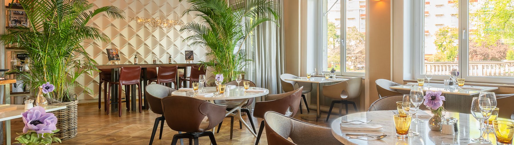 Home | Living Room Bar & Kitchen